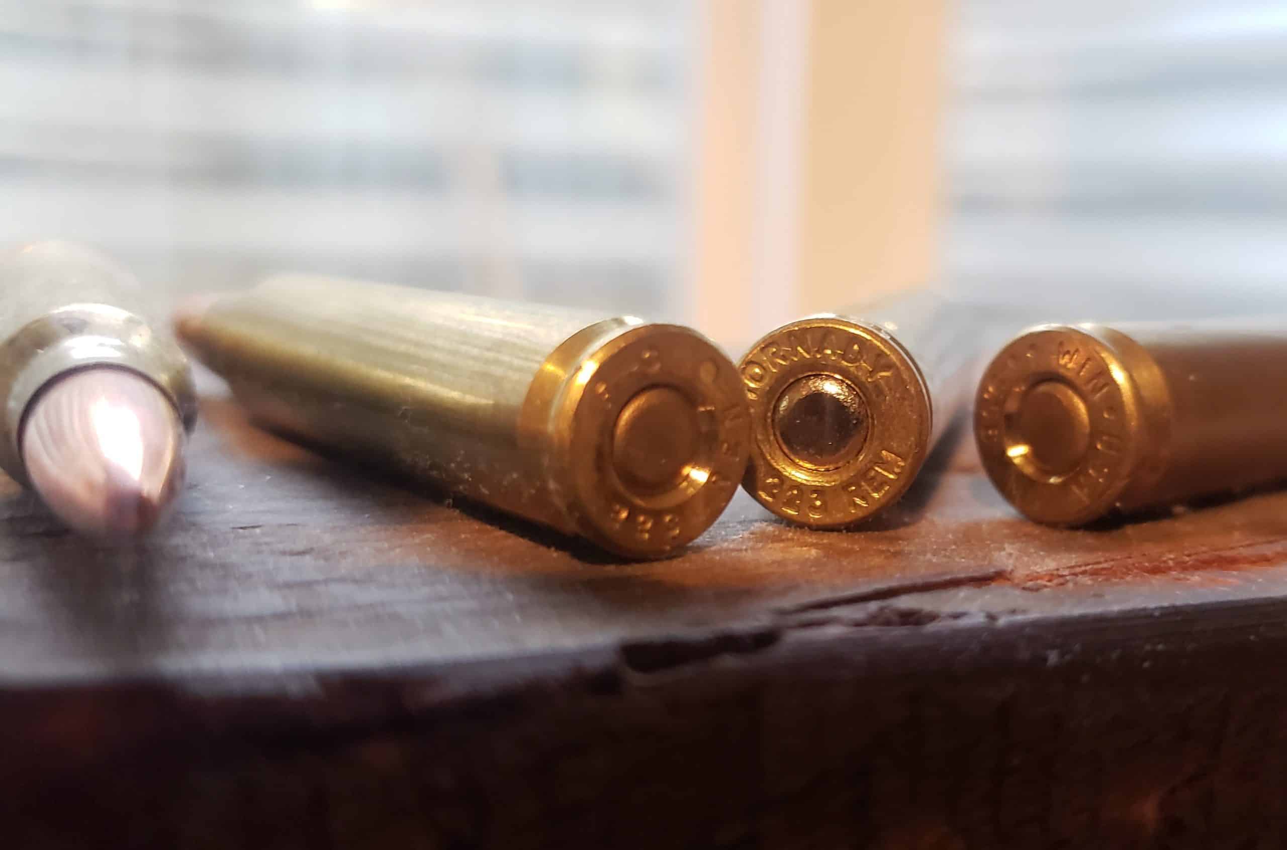 Primers for 223 Reloading - Apocalyptic Prepping